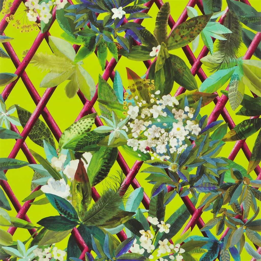 Christian Lacroix Wallpaper Canopy Lime
